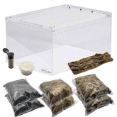 Complete Isopod Kits – Weird Pets PH